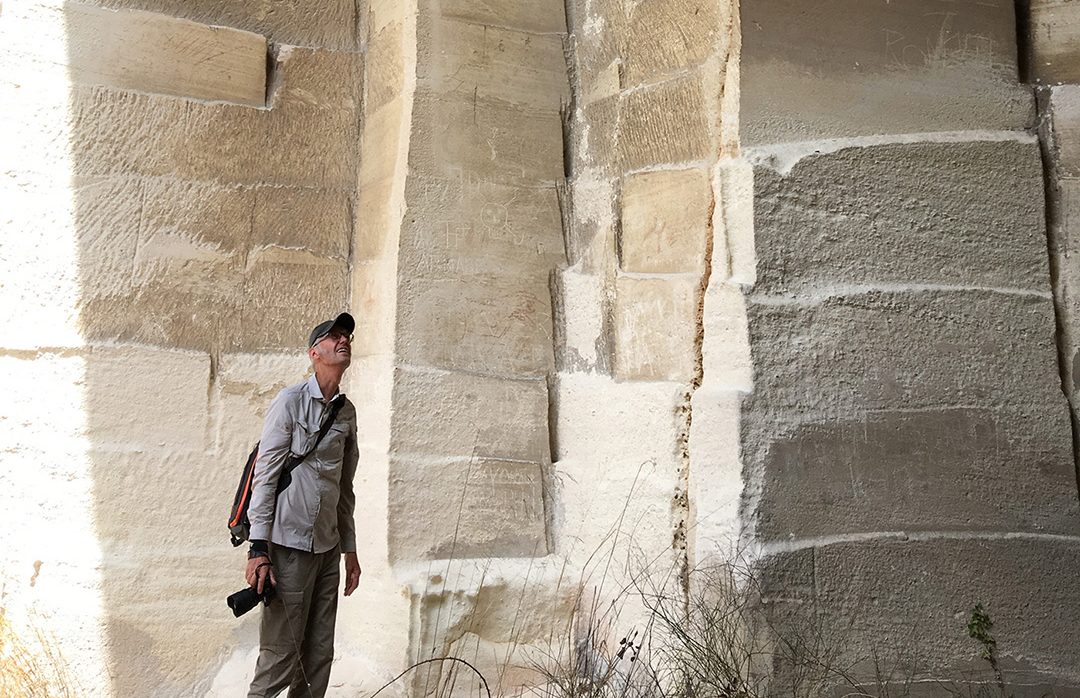 Künstler - Galerie Hovestadt